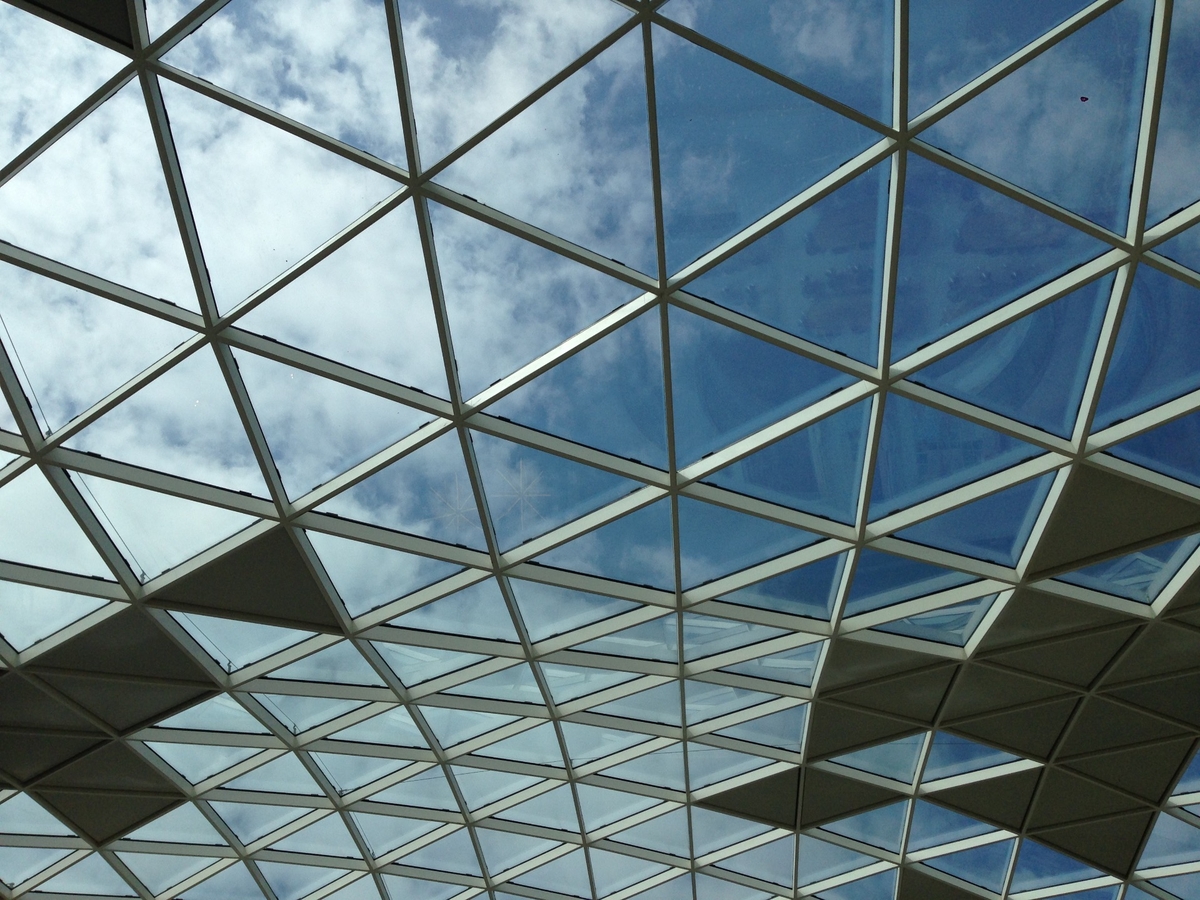 QCHEFS revolutioniert Zahnpflege für Tiere – jetzt mit recyclebarer ...