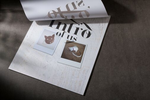 Ivory board and bond paper - Koehler Paper Group